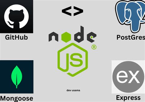develop backend using node js and express js by raiusamaa fiverr