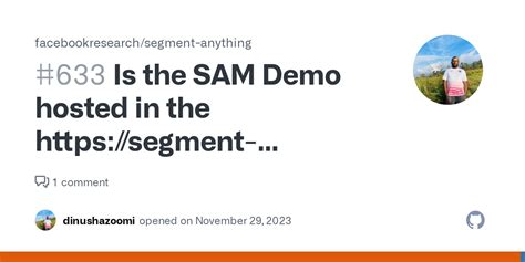 Is The SAM Demo Hosted In The Https Segment Anything Demo Use Pytorch Models Or ONNX