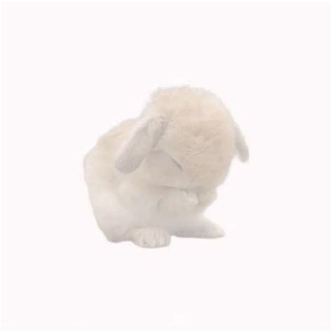 Css For Music Player