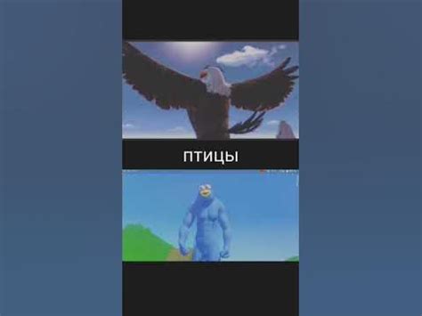 ТРАХ-ТРАХЫЧ против могучего Орла - YouTube
