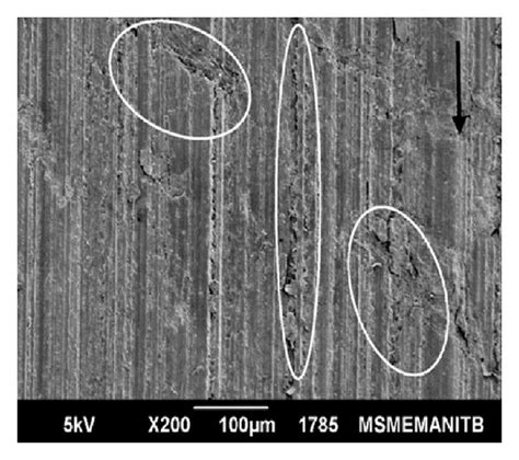 Sem Micrographs Of Maleic Anhydride Modified Rh Filled Pvc Composites