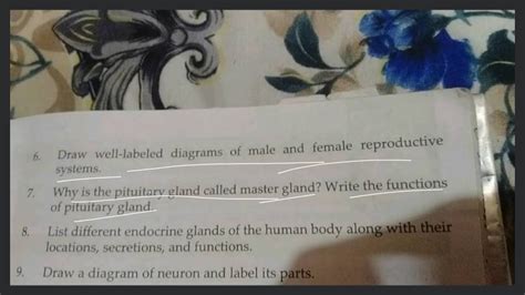 6 Draw Well Labeled Diagrams Of Male And Female Reproductive Systems 7