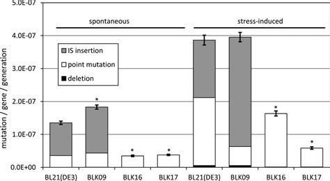 Altered Mutation Rates Observed In The Engineered Strains Mutation