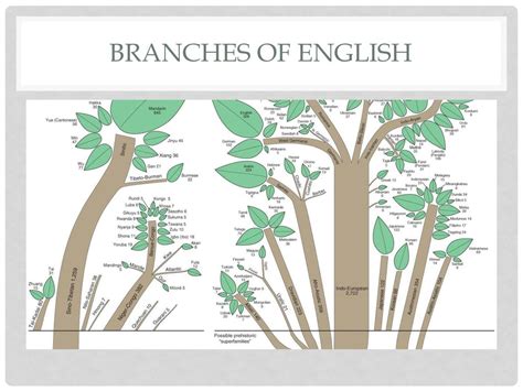 Why Is English Related To Other Languages Ppt Download
