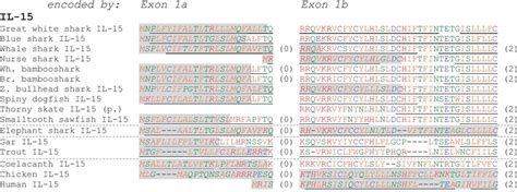 Sequence Alignment Of Deduced Il 2 Il 15 Il 15l And Il 21 Amino Acid Download Scientific