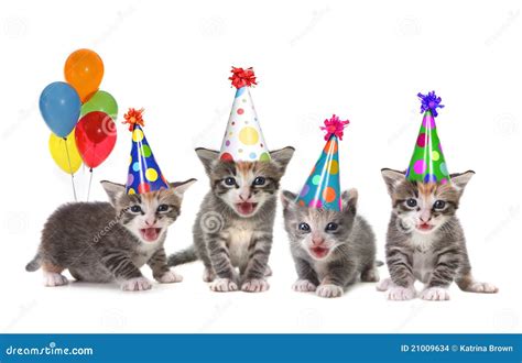 Happy Birthday Cats Singing