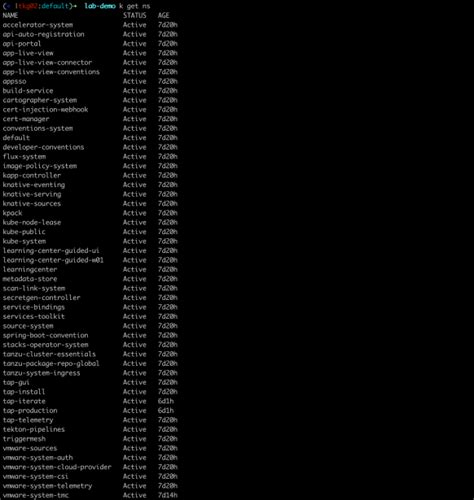 Building And Deploying Your First App On Tanzu Application Platform 13 Viktoriousnl All