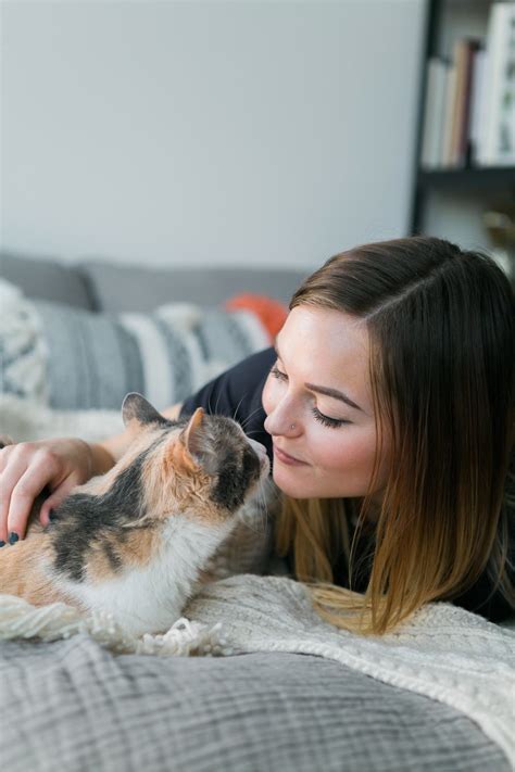 5 Interesting Facts About The Calico Cat Temperament 5 Interesting Facts About The Calico Cat Temperament