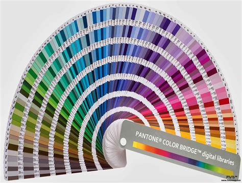Pantone Que Es Images
