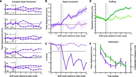 Odor Source Localization In A Single Sniff A Examples Of Spatial Download Scientific Diagram