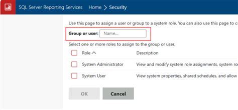 Grant Users Access To A Report Server Sql Server Reporting Services