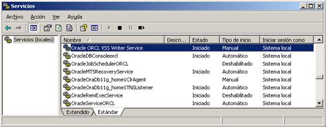 instalar oracle database 11g r2 enterprise 64bits en windows server