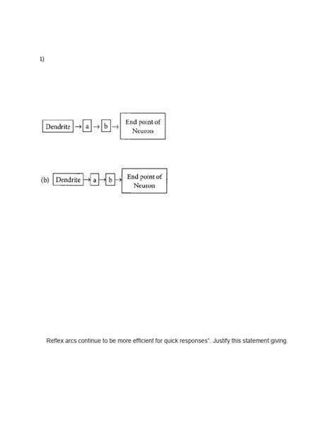 Control Assignment 1 Pdf Hormone Plant Hormone