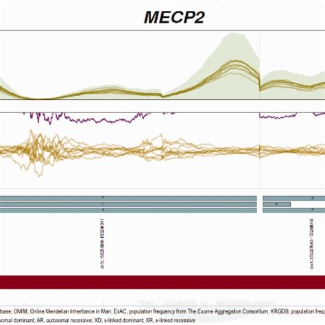 Results Of The Mecp2 Mutation In The Patient Ngs Of 172 Genes Was Download Scientific Diagram