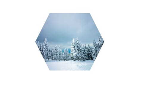 Ppt的图片怎么裁剪成六边形效果 软件自学网