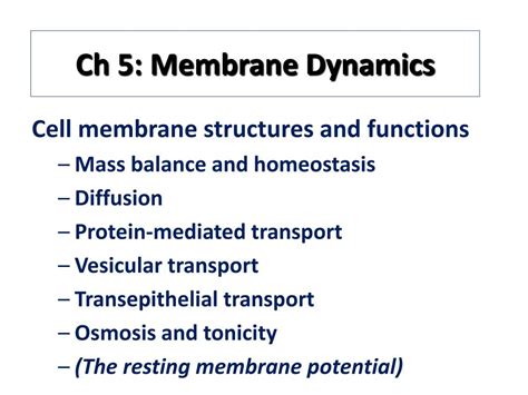 Ppt Ch 5 Membrane Dynamics Powerpoint Presentation Free Download