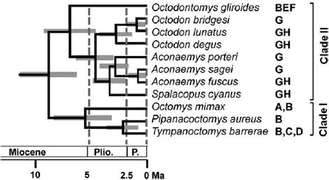 Phylogenetic Relationships And Divergence Time Estimates For Members Of