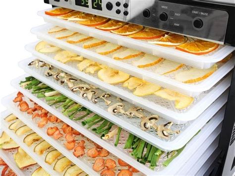 Правила сушки пищевых продуктов в сушильных шкафах