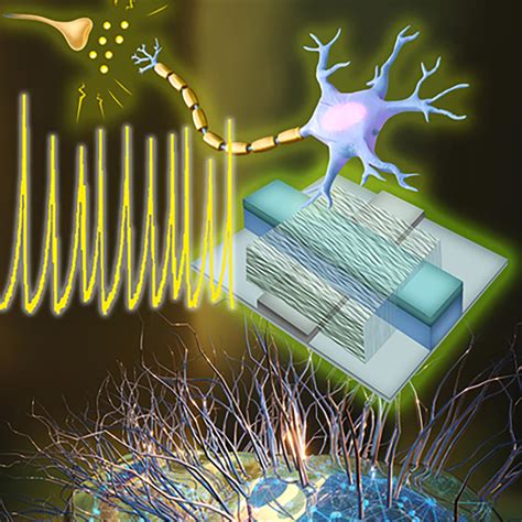 Artificial Neuron Breakthrough Blurs The Line Between Biology And
