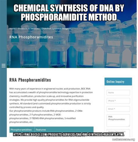 Chemical Synthesis Of Dna By Phosphoramidite Method Rnabocsci