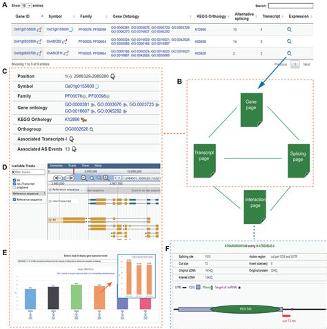 Database Retrieval And Result Visualization A The Retrieved Genes By