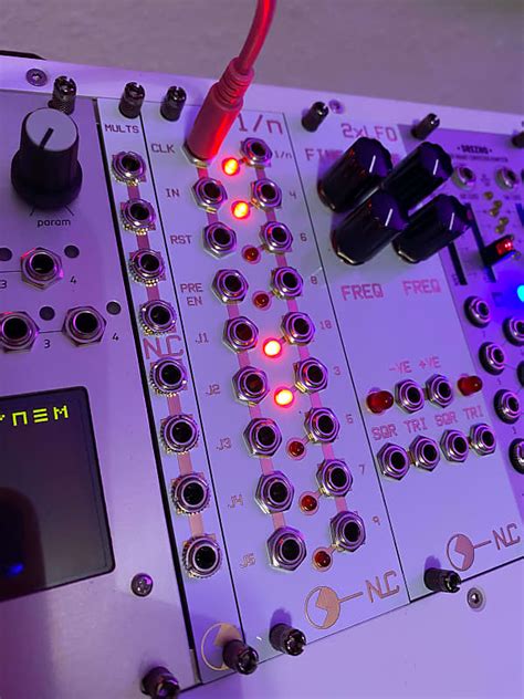 Nonlinearcircuits 1 N Divide By N 2022 Nlc White Reverb