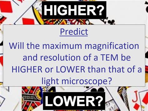 cell structure and biological molecules ocr a level biology a