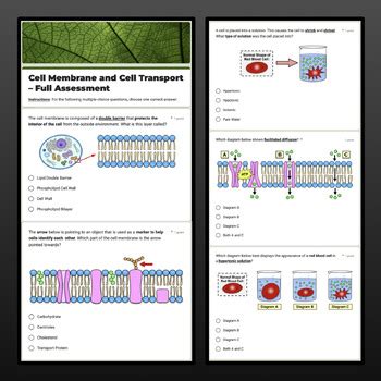 Cell Membrane And Cell Transport Quiz Assignments On Google Forms