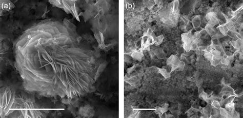 Simultaneous Anodic And Cathodic Formate Production In A Paired Electrolyzer By Co2 Reduction