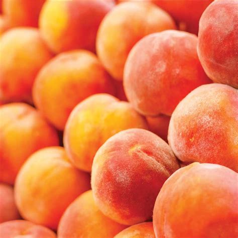 Peach Himalayan Blossoms