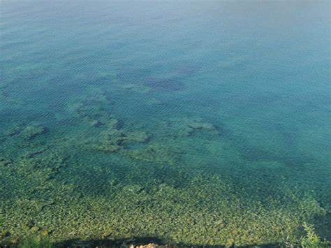 A Cup Of Caffeine Datça Koylar