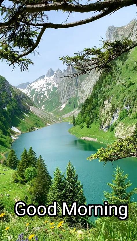 Nature Beautiful Good Morning Wallpaper