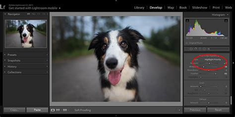 How To Easily Add Or Remove A Vignette In Lightroom