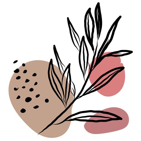 Boho Botanical Illustration 12807792 Png
