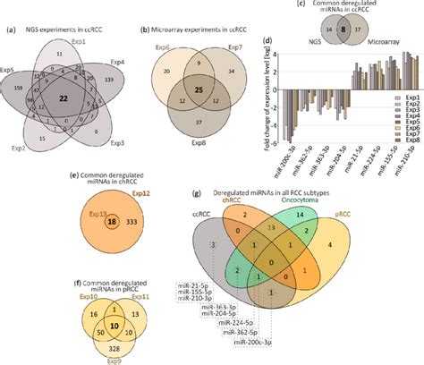 The Meta Analysis Of Deregulated Mirna In Renal Cell Carcinoma Rcc