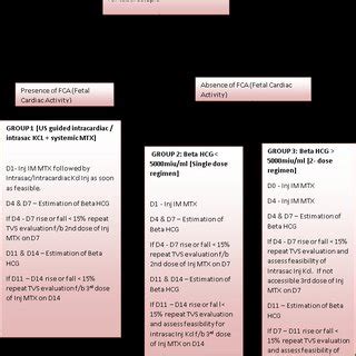 Management Protocol Download Scientific Diagram