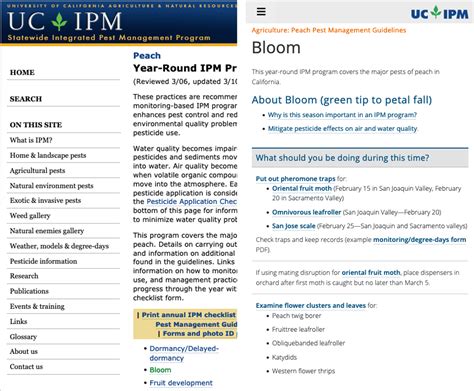 Photo 1 And 2 Linear Scaling Sacramento Valley Orchards