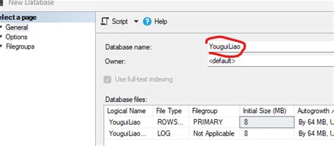 Access And Use SQL Database On SSMS Microsoft SQL Server Management