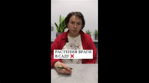 НИ В КОЕМ СЛУЧАЕ НЕ САЖАЙТЕ ИХ РЯДОМ Как не погубить растения Youtube