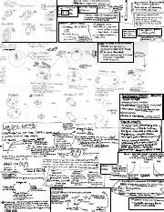 Understanding Blood Inheritance And Sex Linked Traits In Genetics Course Hero