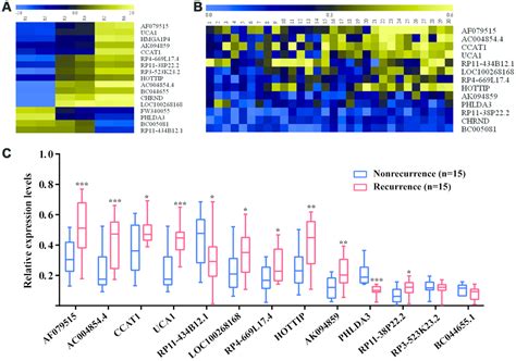 Identification Of An Exosomal Long Non Coding RNAs Panel For Predicting Recurrence Risk In