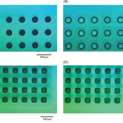 Schemetic Representation Of A Microfluidic Bead Array Chip Download