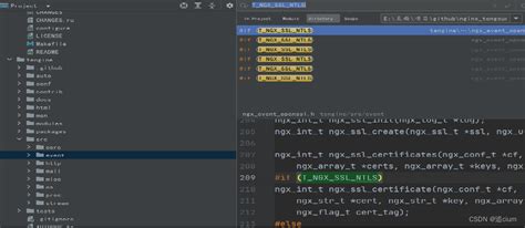 开放原子训练营（第一季）铜锁探密nginx 国密的应用 nginx tongsuo csdn博客