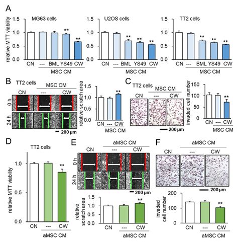 Suppression Of The Viability Migration And Invasion Of Os Cells By