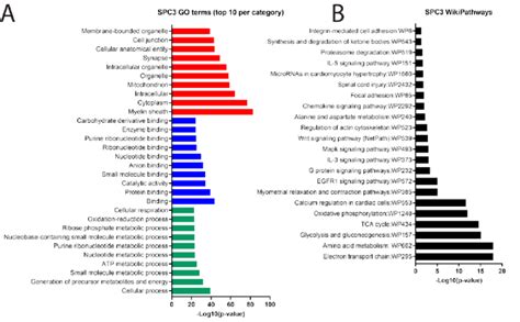 String Gene Ontology Go A And Wikipathway B Analysis Of Sparse