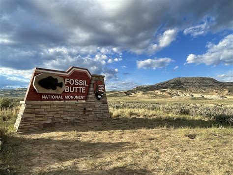10 Astounding Fossil Locations In The Us Every Paleontologist Dreams Of