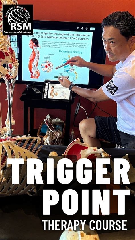 Trigger Point Therapy Course Postural Massage Courses