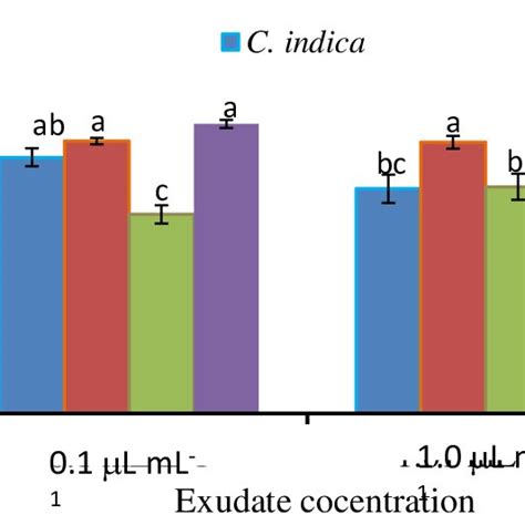 Development Of Ganoderma Boninense Colony On Malt Extract Agar Download Scientific Diagram