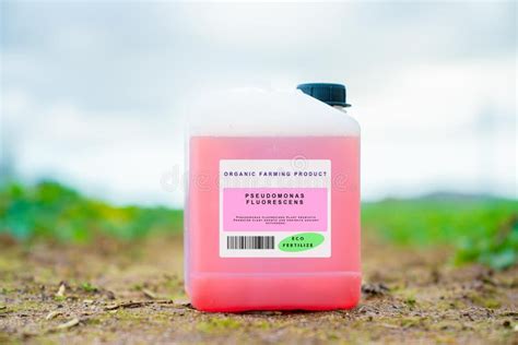 Pseudomonas Fluorescens Stock Image Image Of Farming 367218903