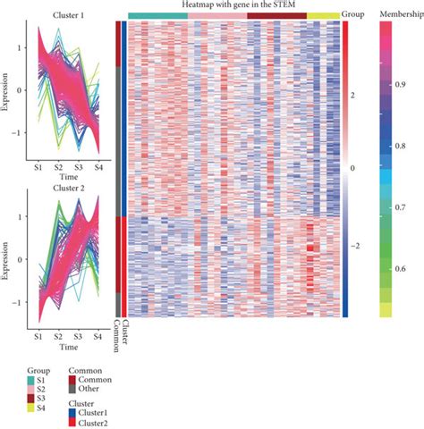 Genes And Signaling Pathways That Are Persistently Altered During